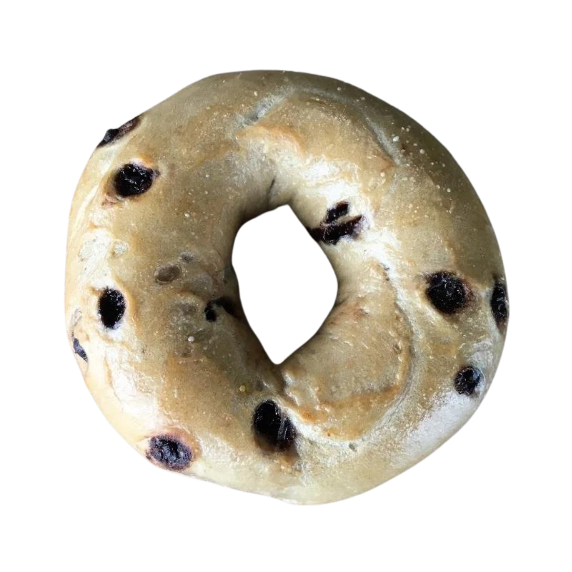 CHOCOLATE CHIP BAGEL | The Bagel Rack