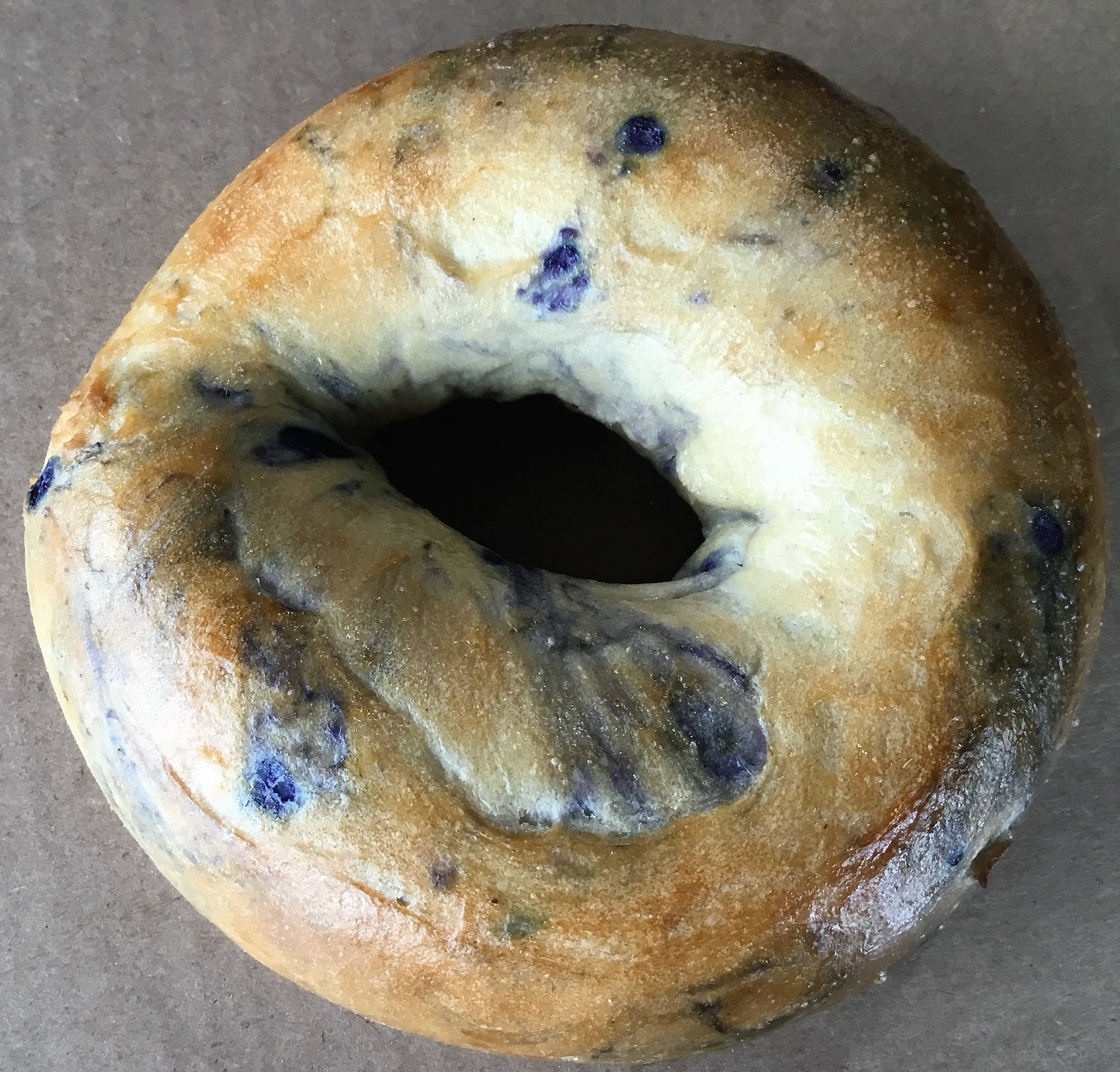 Blueberry Bagel