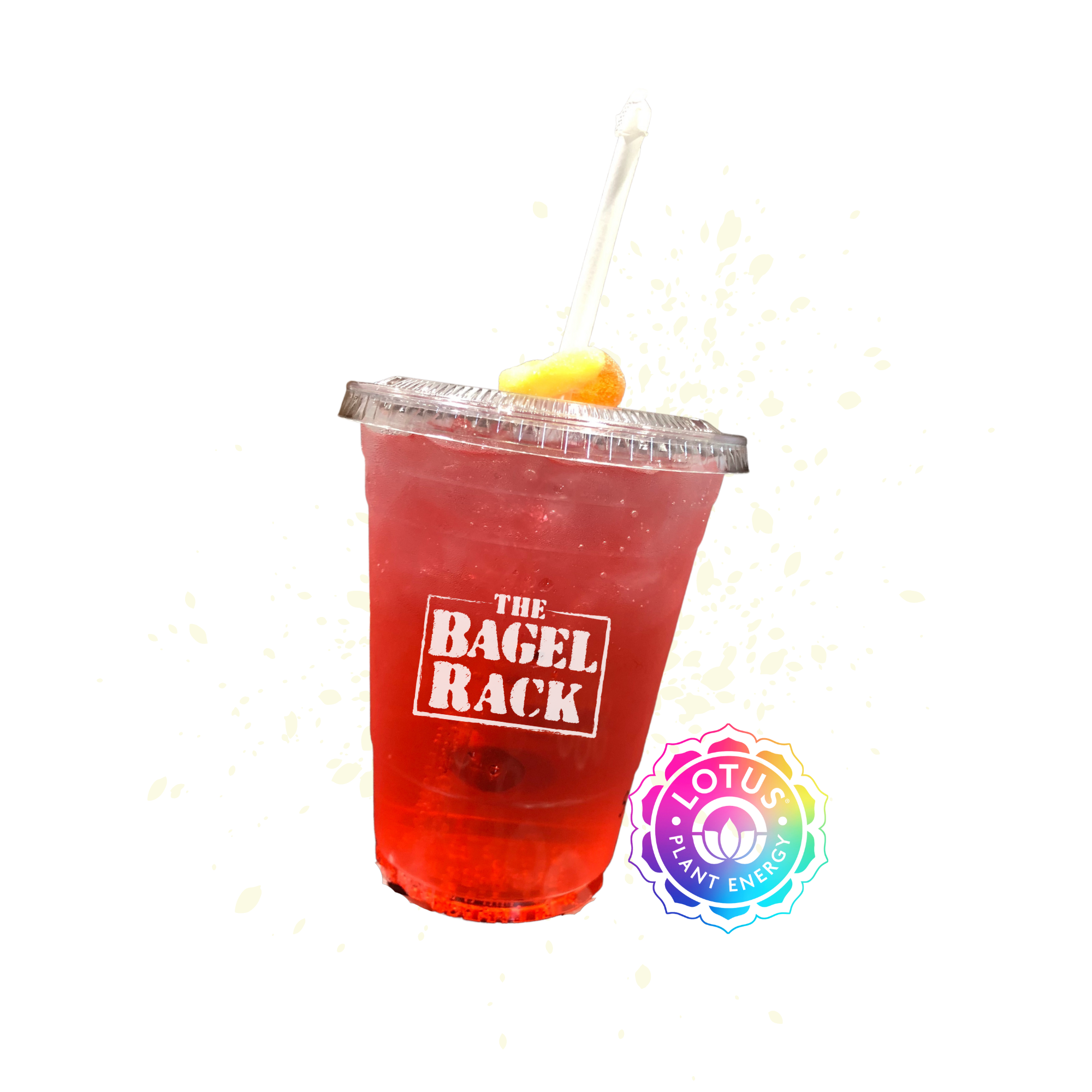 Lotus Drinks | The Bagel Rack